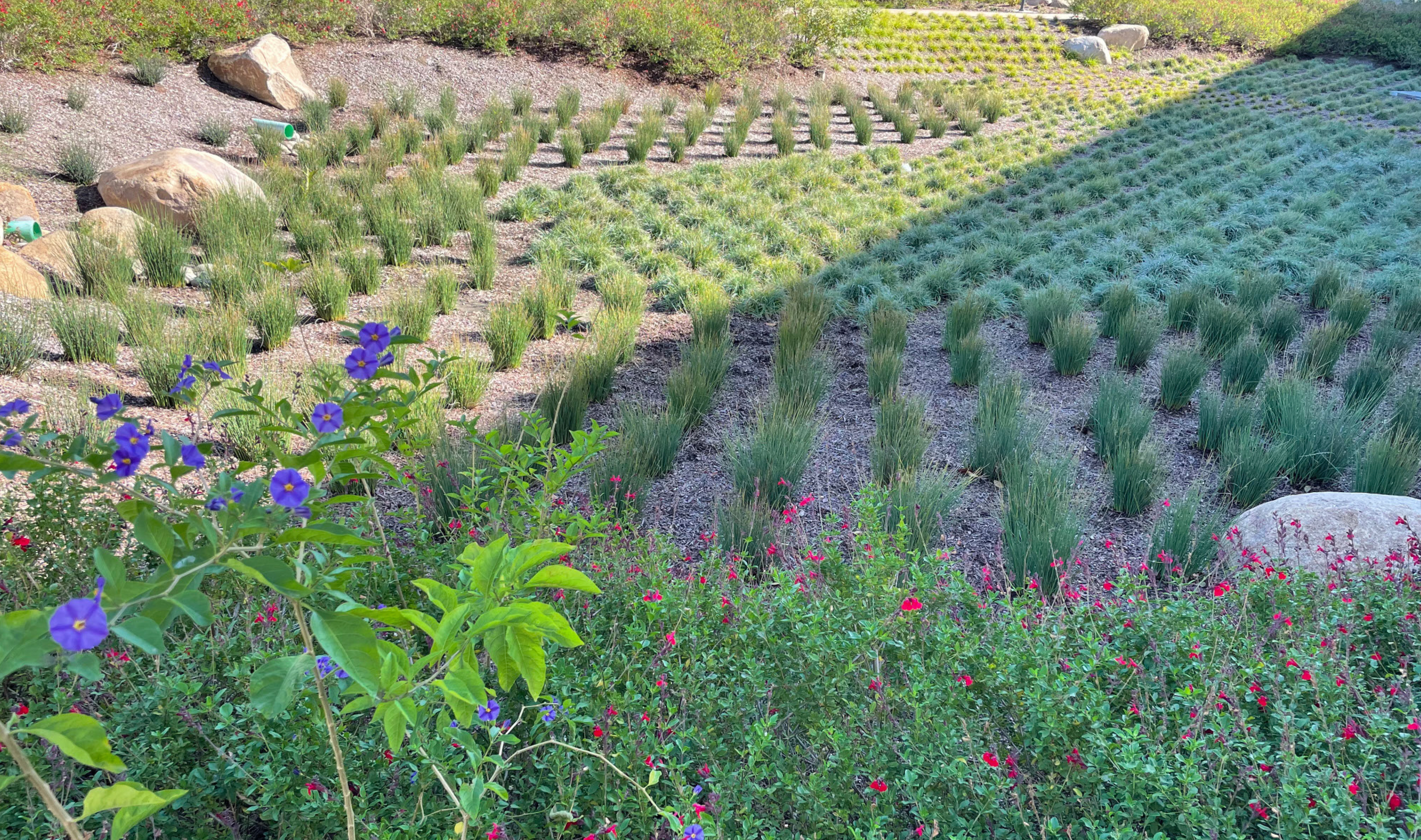 Doing More with Less: Stormwater Runoff is Turned into a Design ...