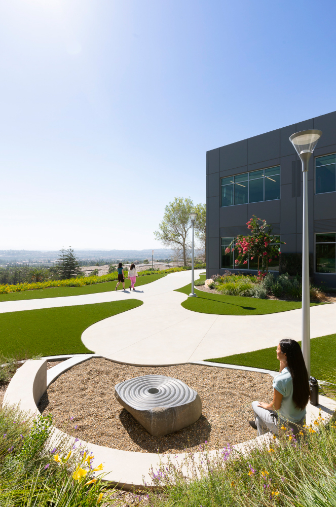 An Eye-Catching Vision for A Creative, Collegial Office - LPA