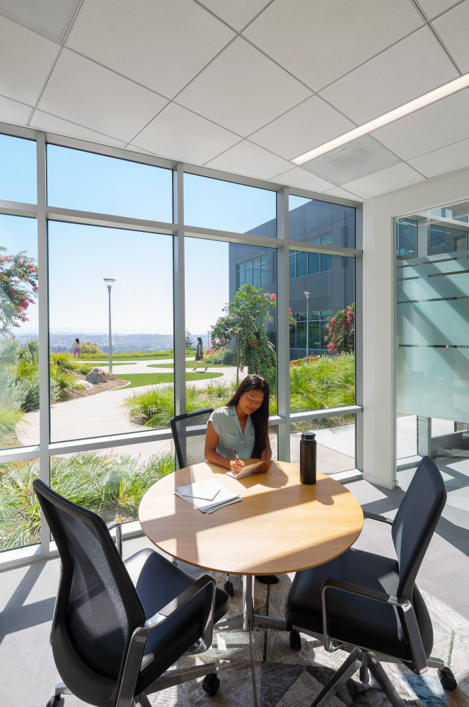 An Eye-Catching Vision for A Creative, Collegial Office - LPA