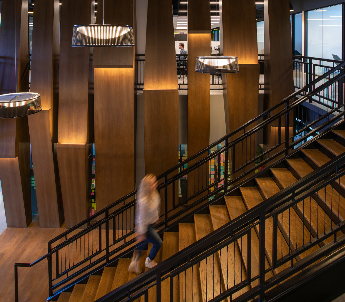 The Light Solution - LPA