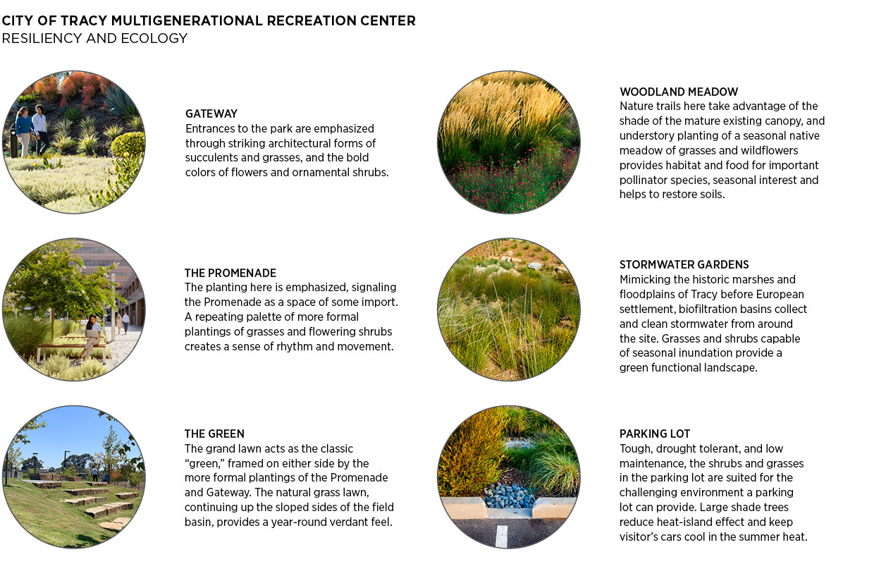Carbon Positive Landscape - LPA