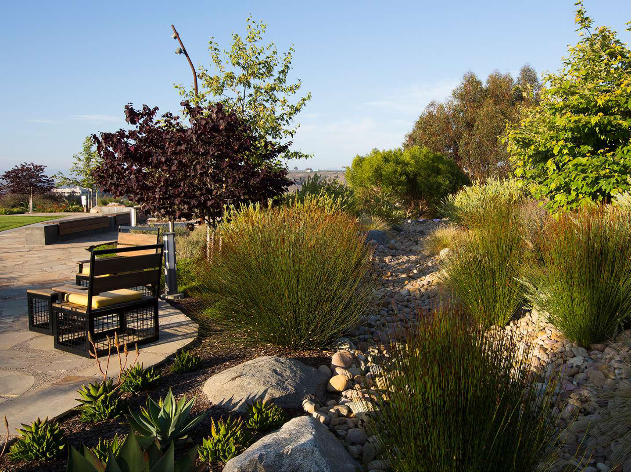 Carbon Positive Landscape - LPA