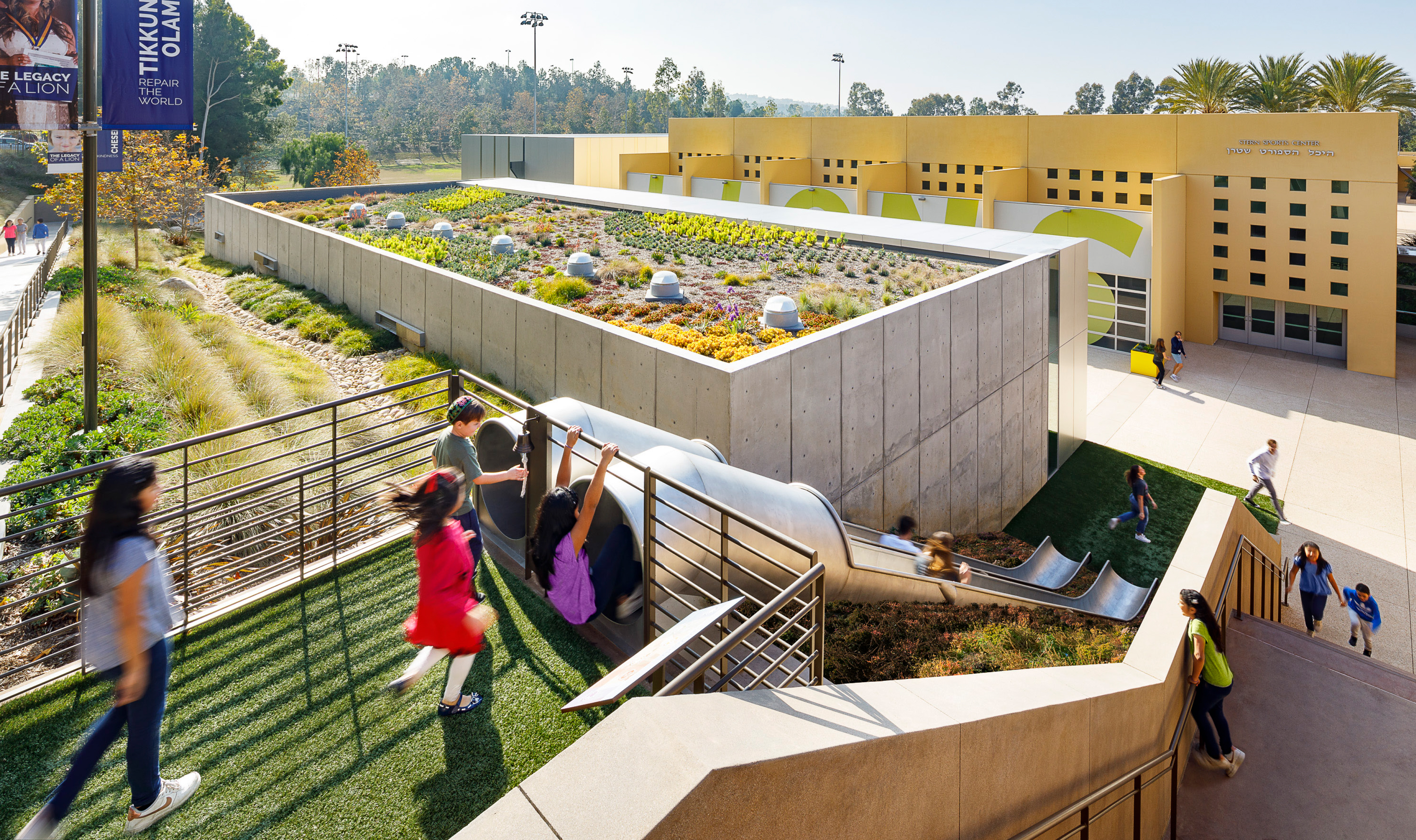 Designing the Drought-Resistant Schoolyard - LPA