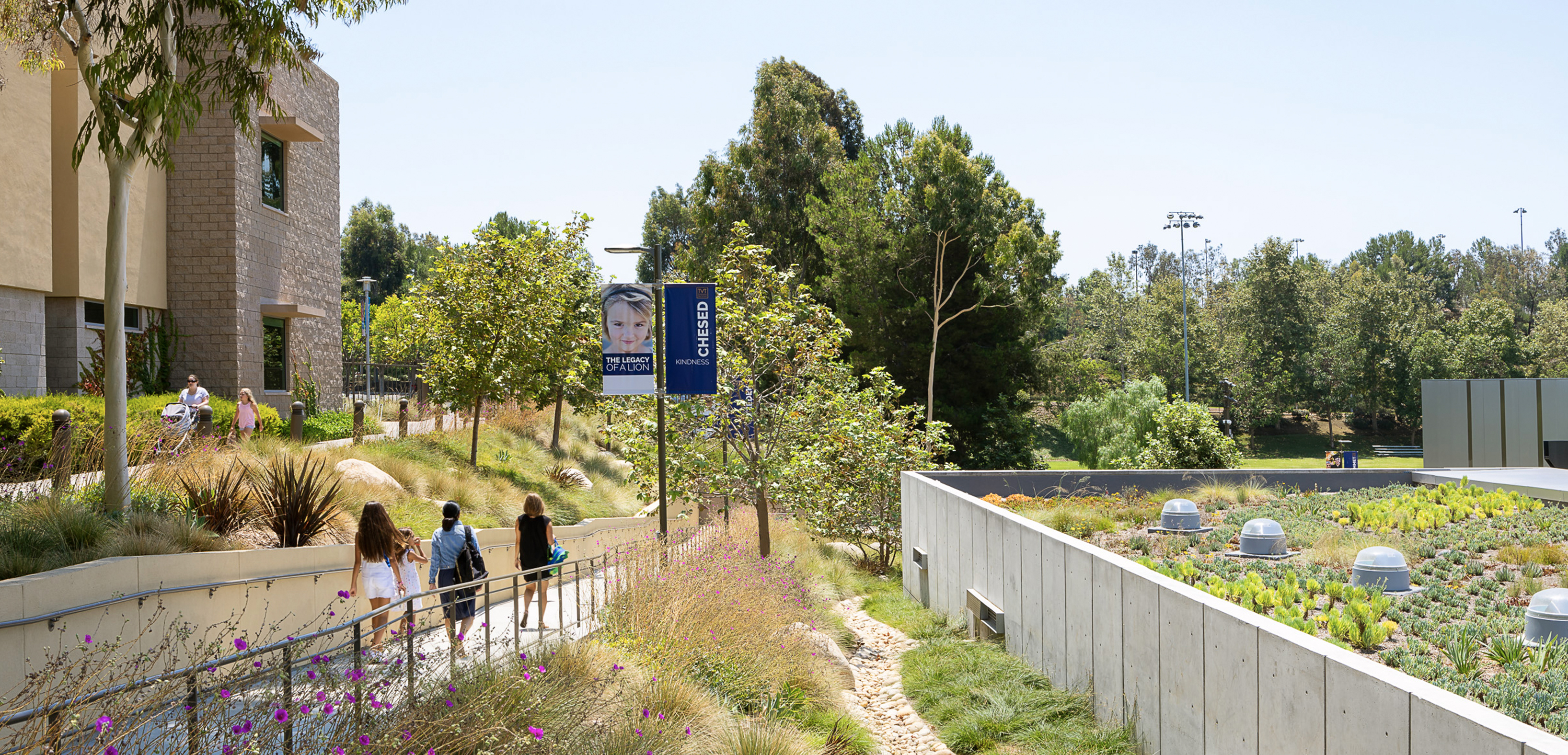 Common Edge: To Address Climate Change, Architects Must Tackle Embodied ...