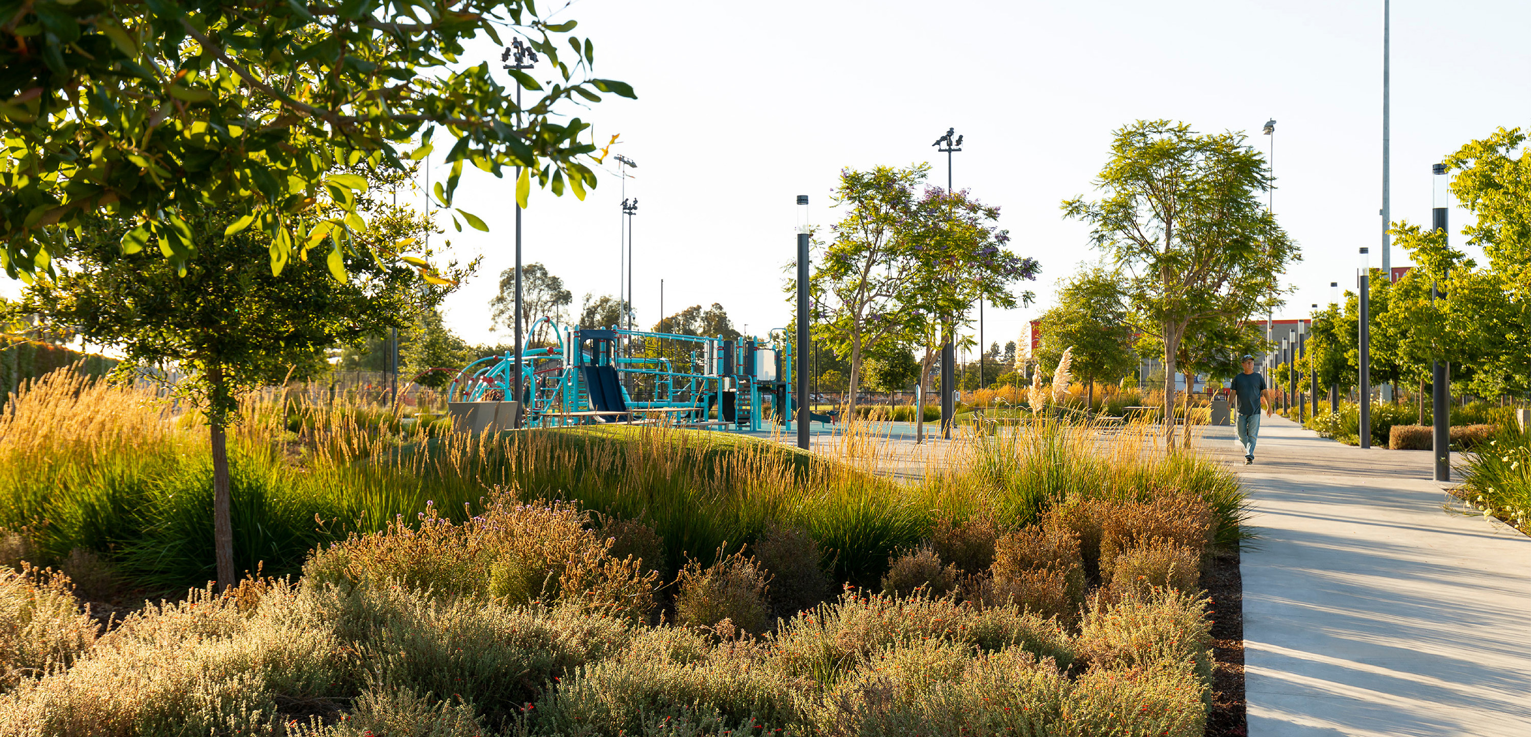 LPA Sustainability Specialist Co-authors Decarbonization Guide for ...