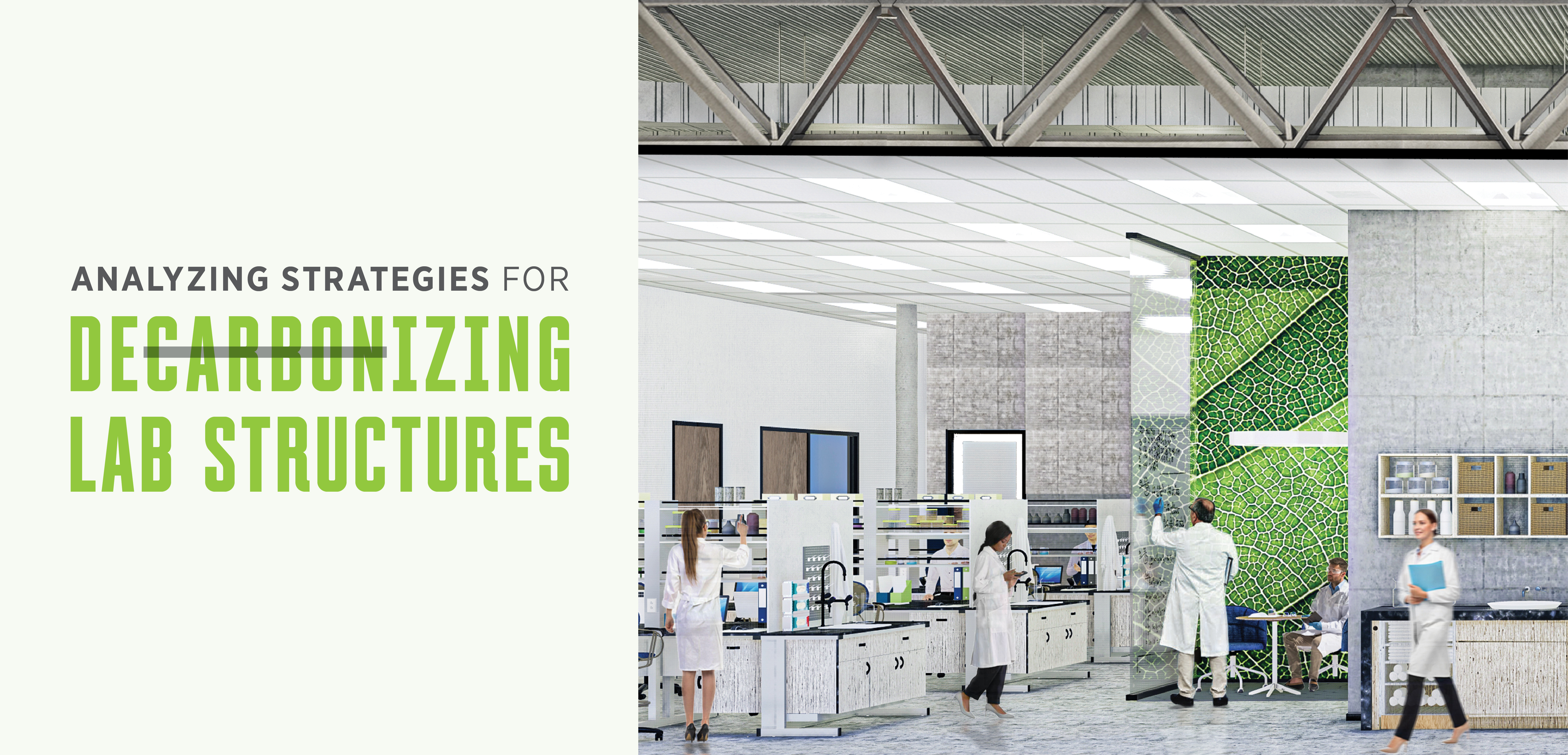 Edwards Lifesciences Starr Atrium - LPA