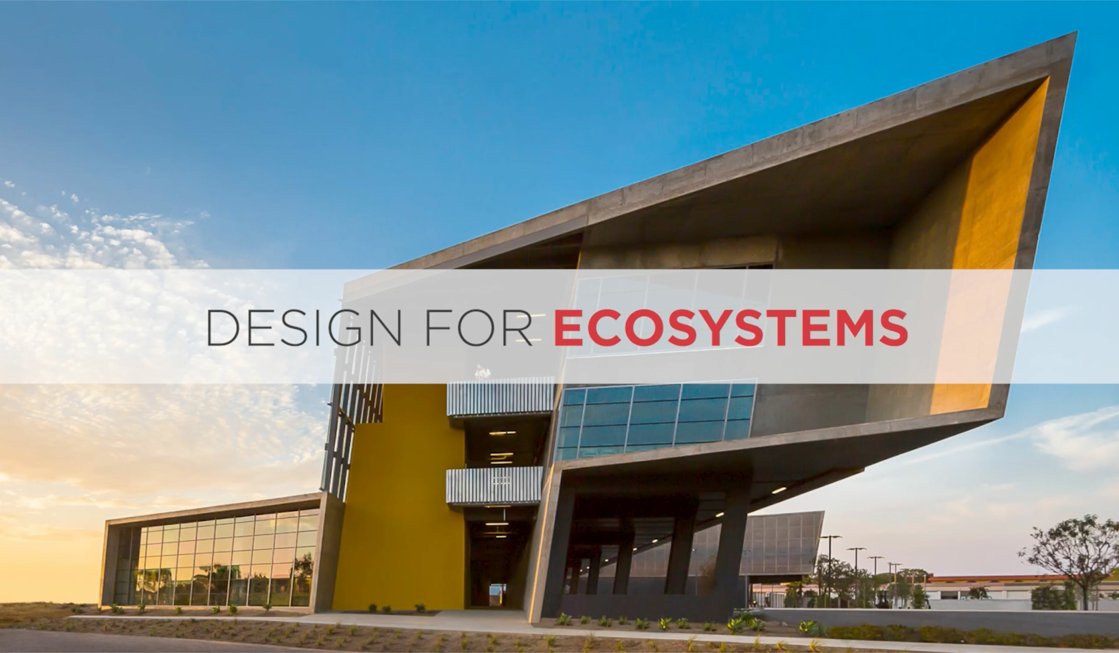 Design for Ecosystems - LPA