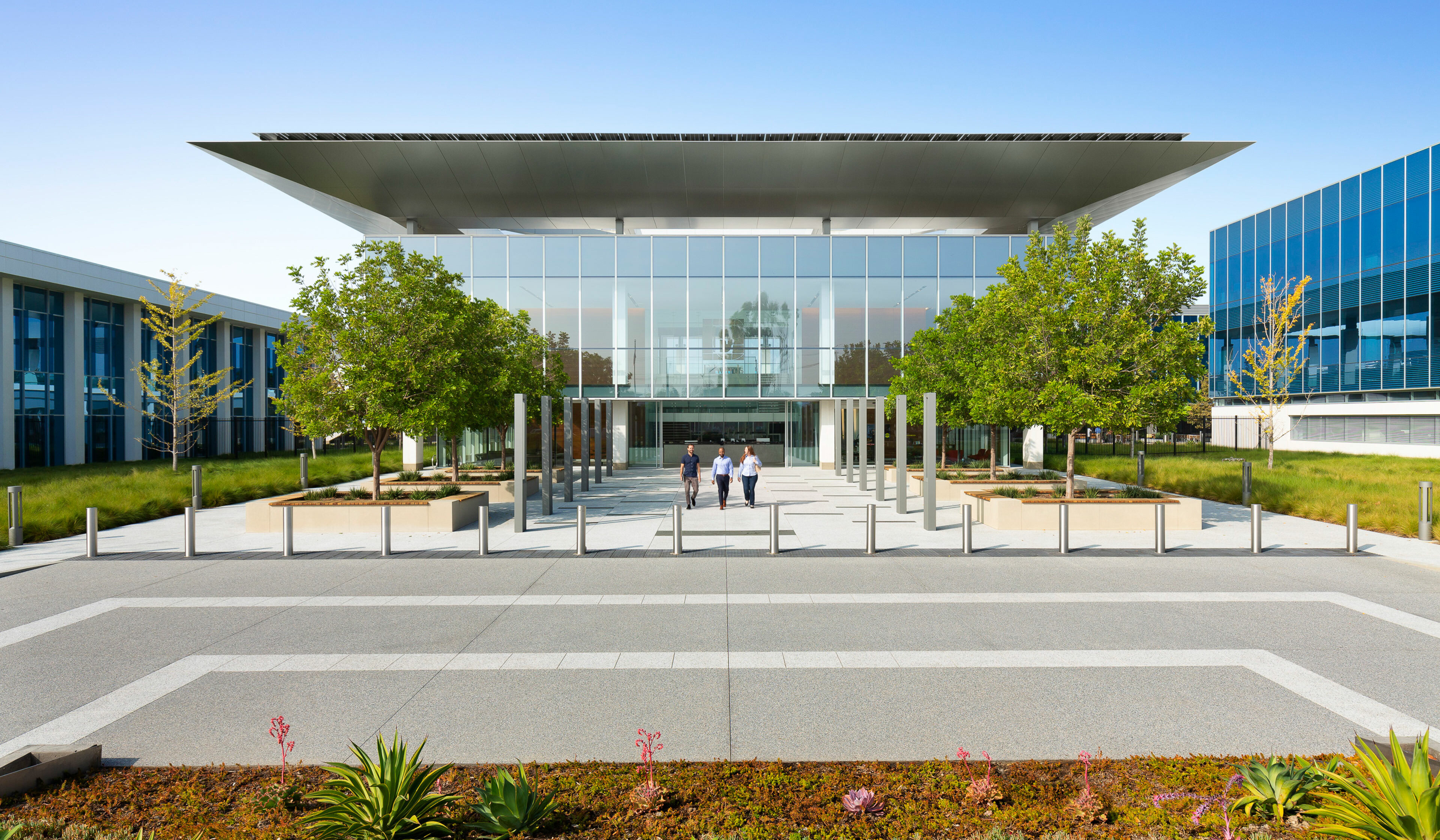 Edwards Lifesciences Starr Atrium - LPA