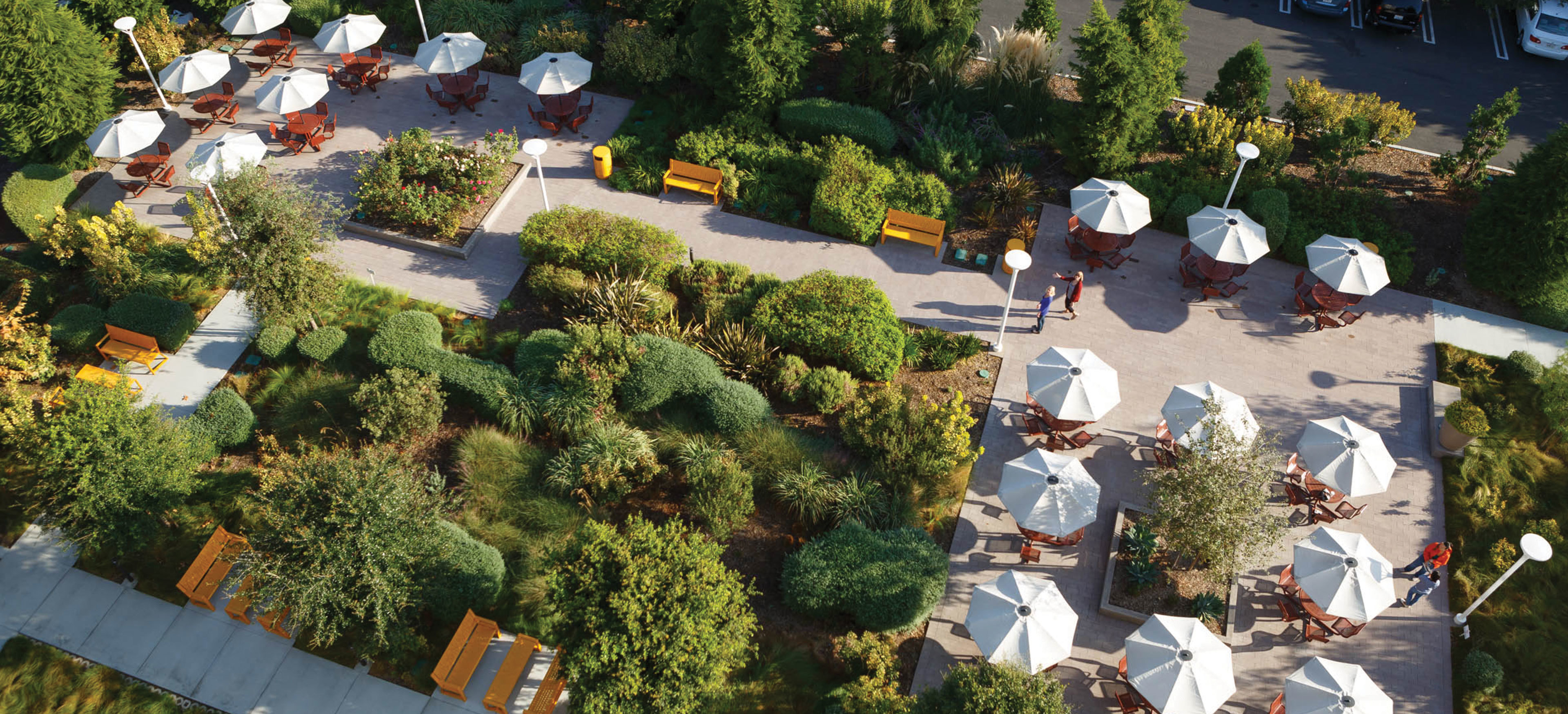 Chris Tindall Managing Director, MEP Engineering - LPA