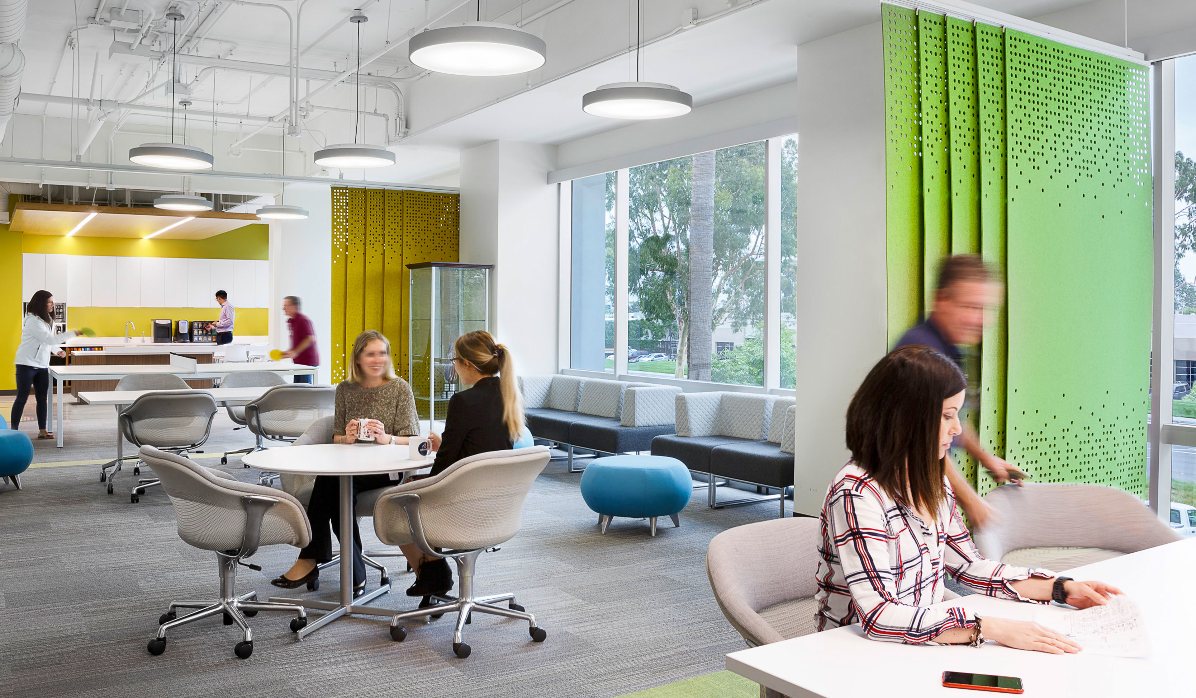 Edwards Lifesciences Starr Atrium - LPA