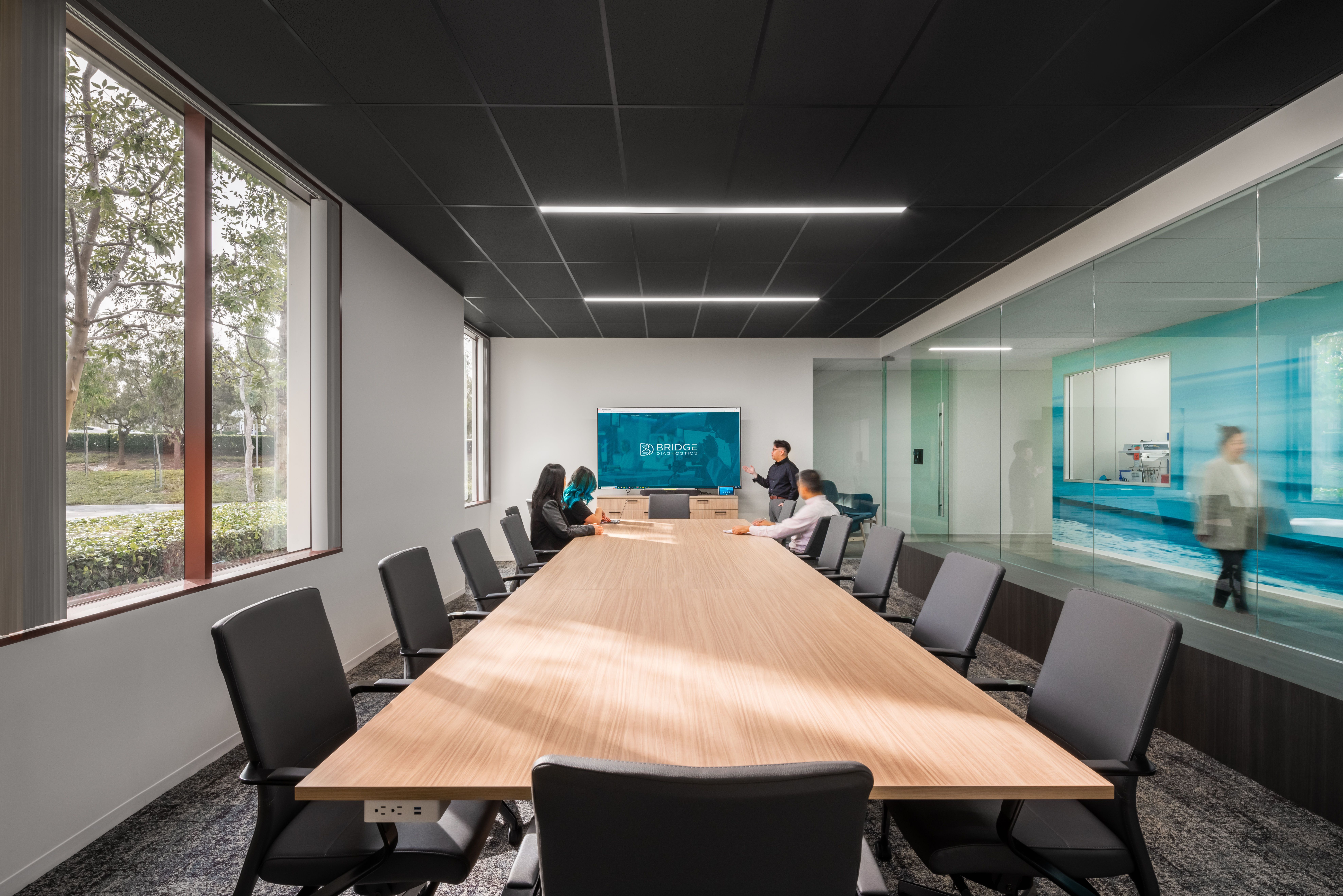 Bridge Diagnostics - LPA