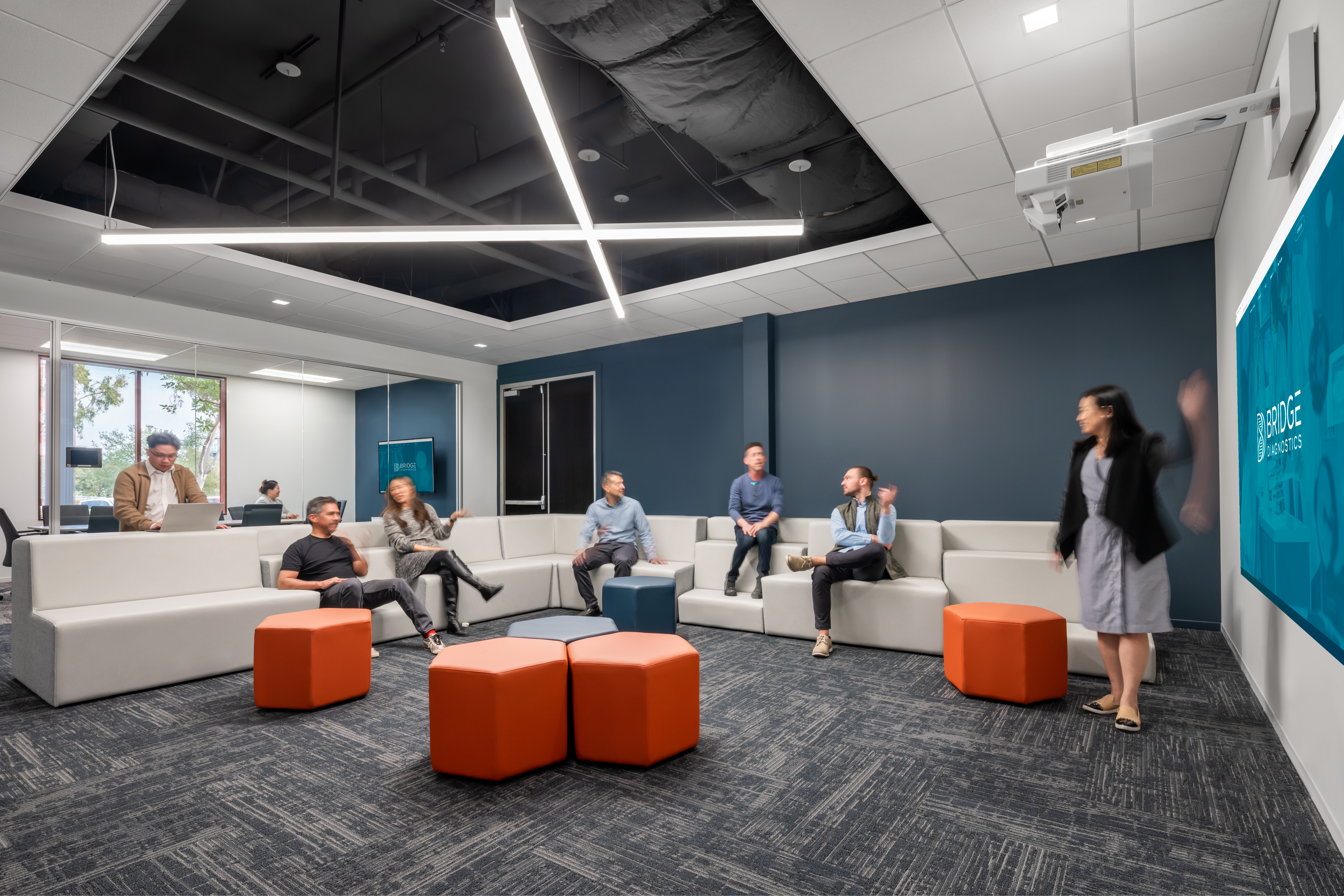 Bridge Diagnostics - LPA