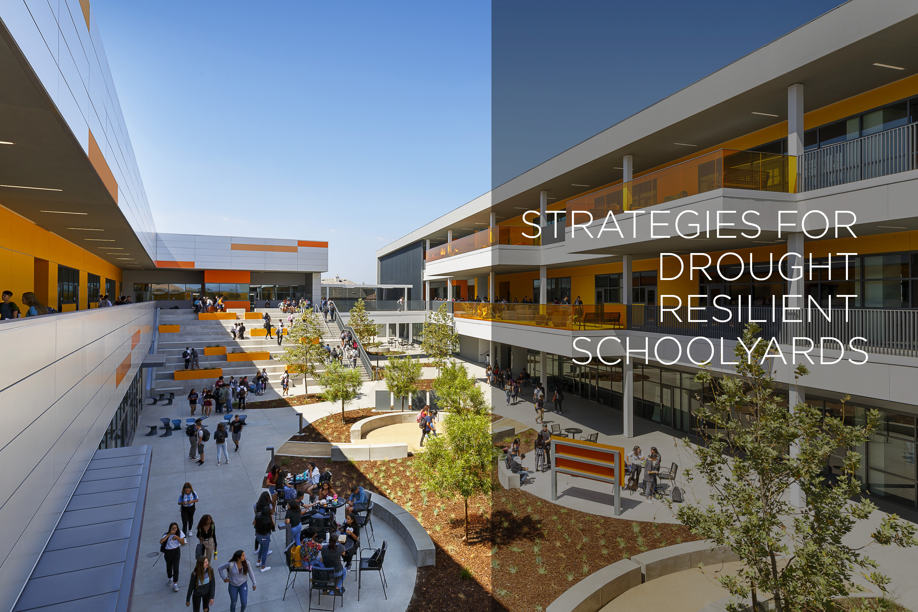 Landscape Architect Andrew Wickham on the Drought Resistant Schoolyard ...