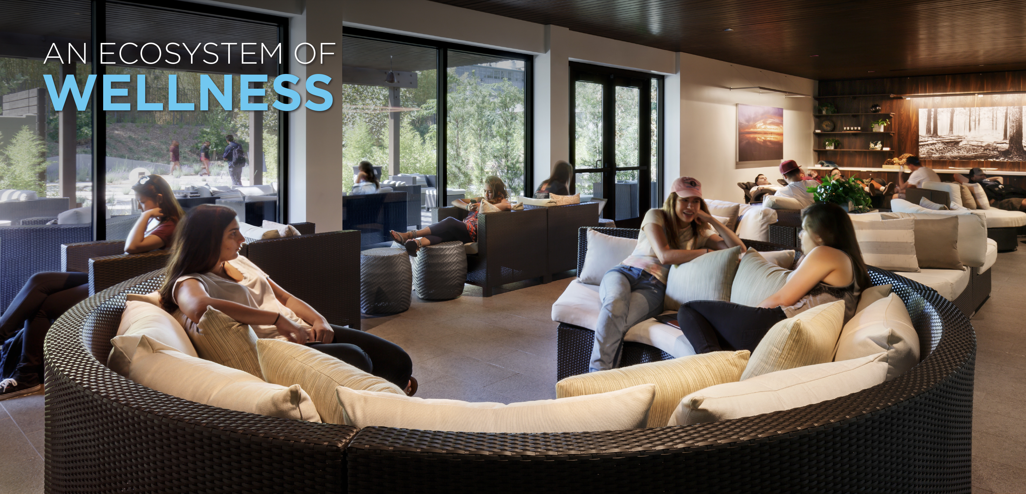 An Ecosystem of Wellness - LPA